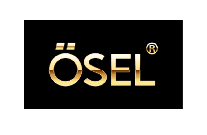 Osel Devices Limited IPO (Osel Devices IPO) Detail, IPO Date, Price ...